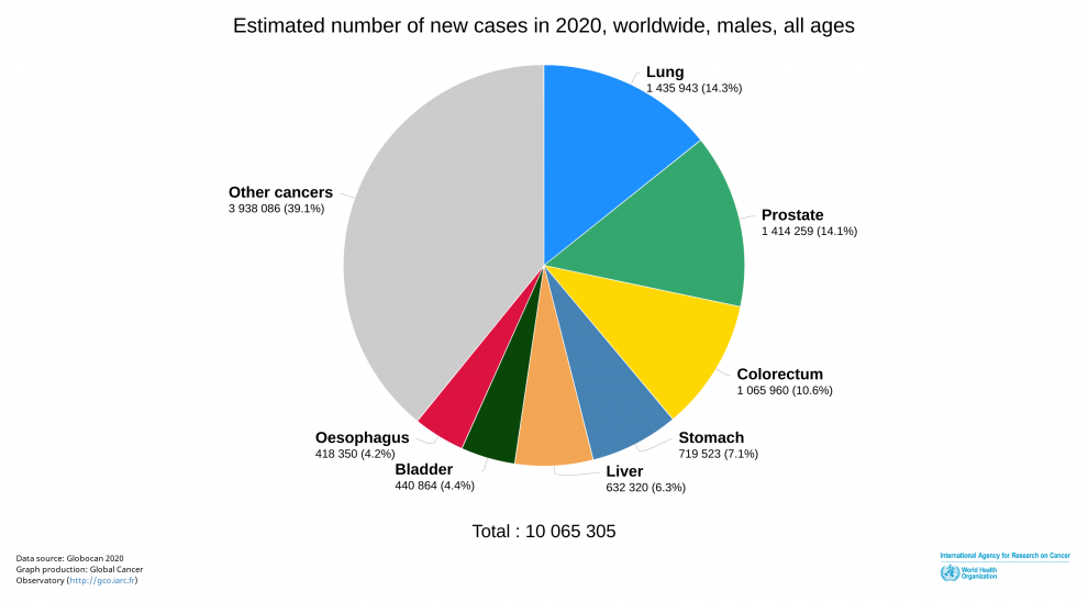 GLOBOCAN 2020: New Global Cancer Data | UICC